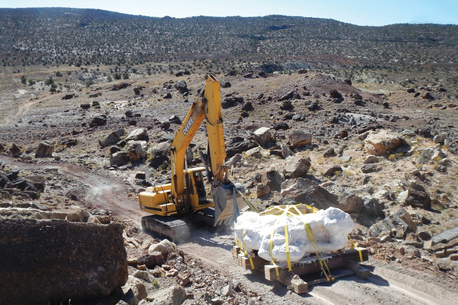A track hoe pulls the nine-ton field jacketed Utahraptor Megablock from ...