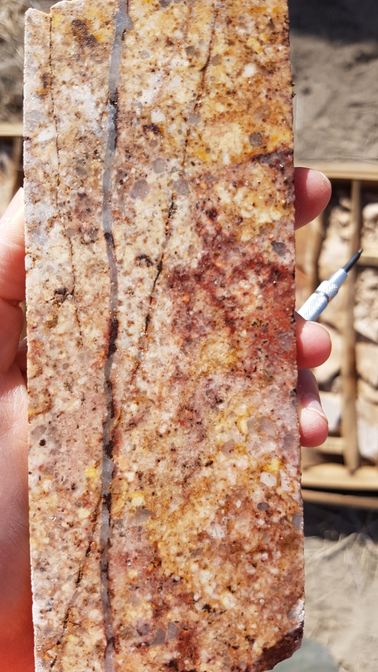 Clay alteration and oxidized quartz-pyrite veins in drillcore from a ...