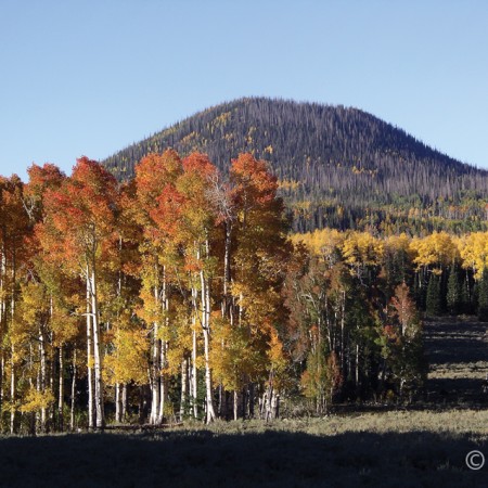 Quaternary Volcanic Rocks of Utah - Utah Geological Survey