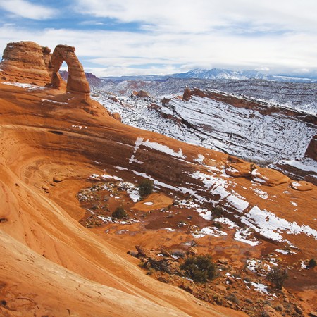 Dinosaur Dig: Ancient creatures are unearthed on BLM land in Utah ...