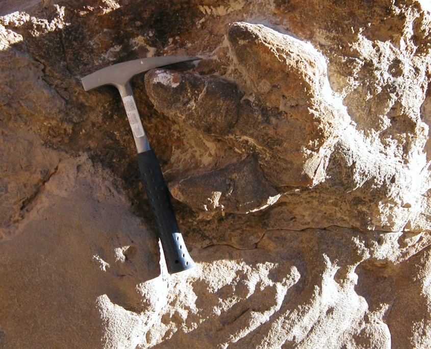 Paleontology - Utah Geological Survey