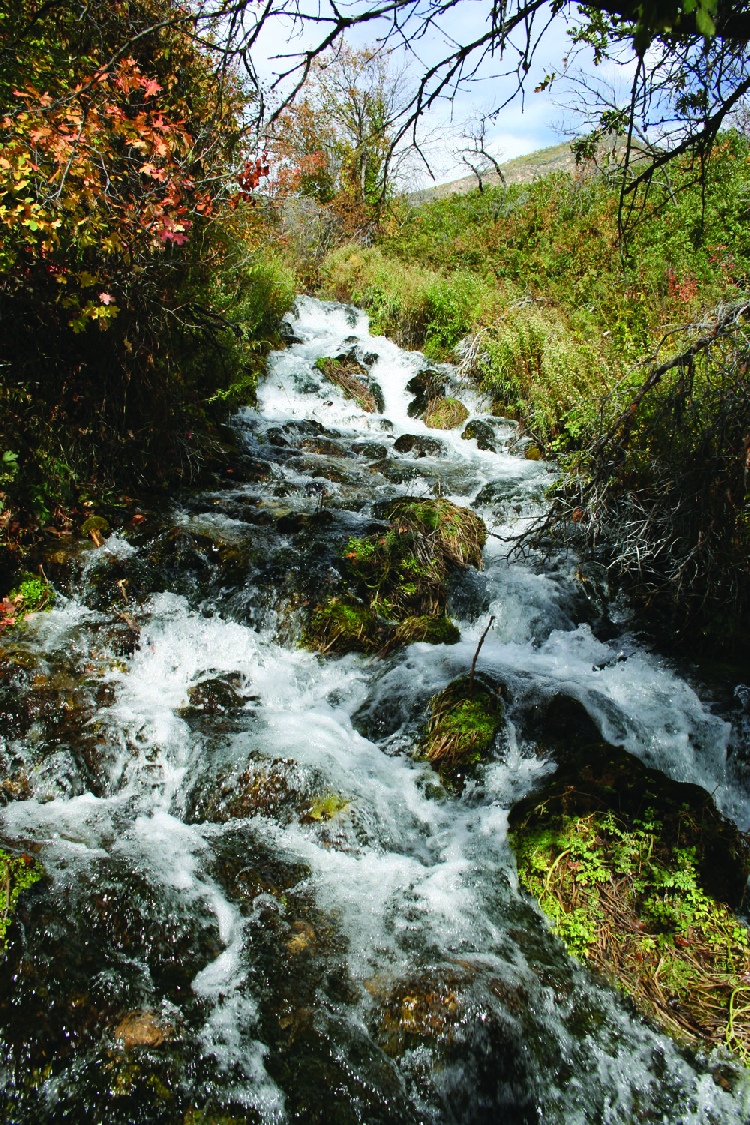 GeoSights: Cascade Springs, Wasatch County - Utah Geological Survey