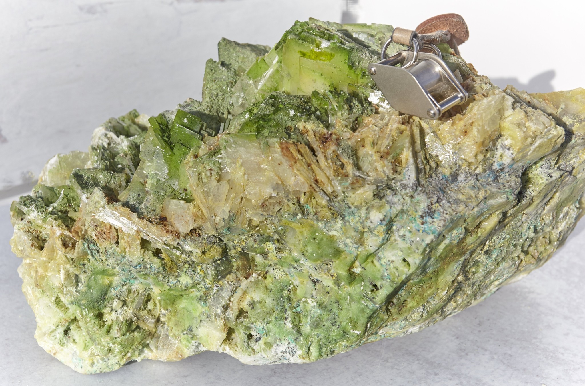 Bonanza grade gold sample from the Trixie mine, Tintic district, Utah ...