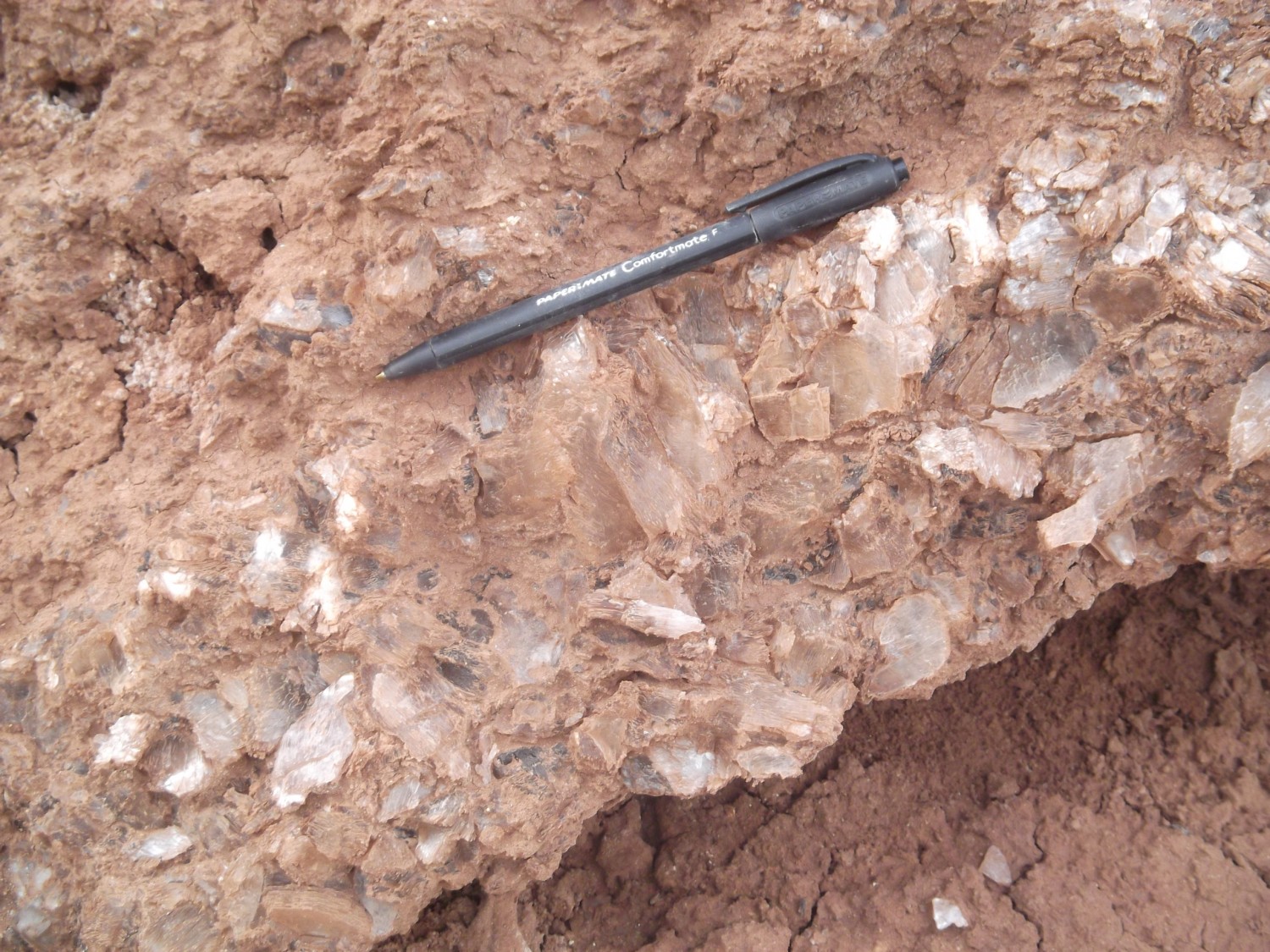 Gypsum crystals in a vein in the Arapien Shale. - Utah Geological Survey