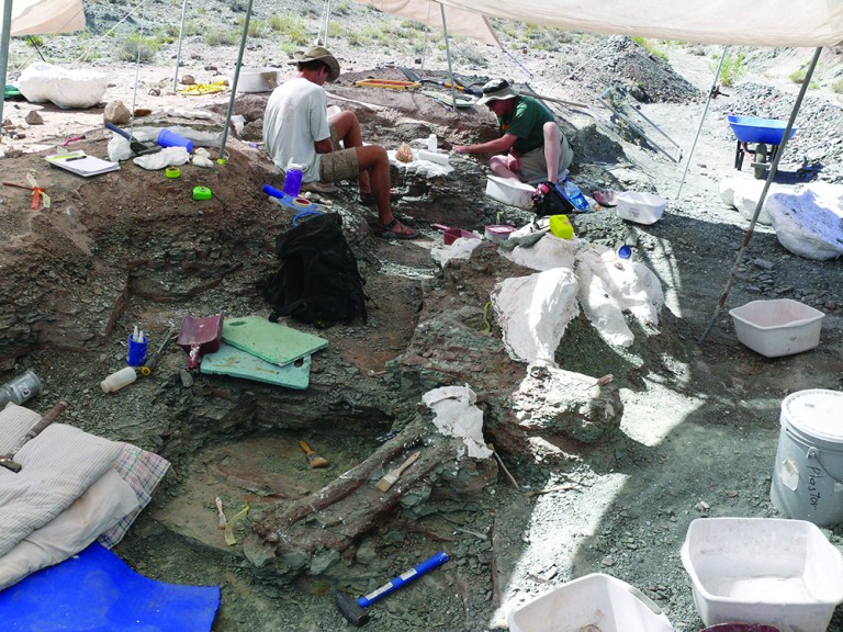 Utah's Early Cretaceous Fossils Provide Critical data on the opening of the Atlantic Ocean ...