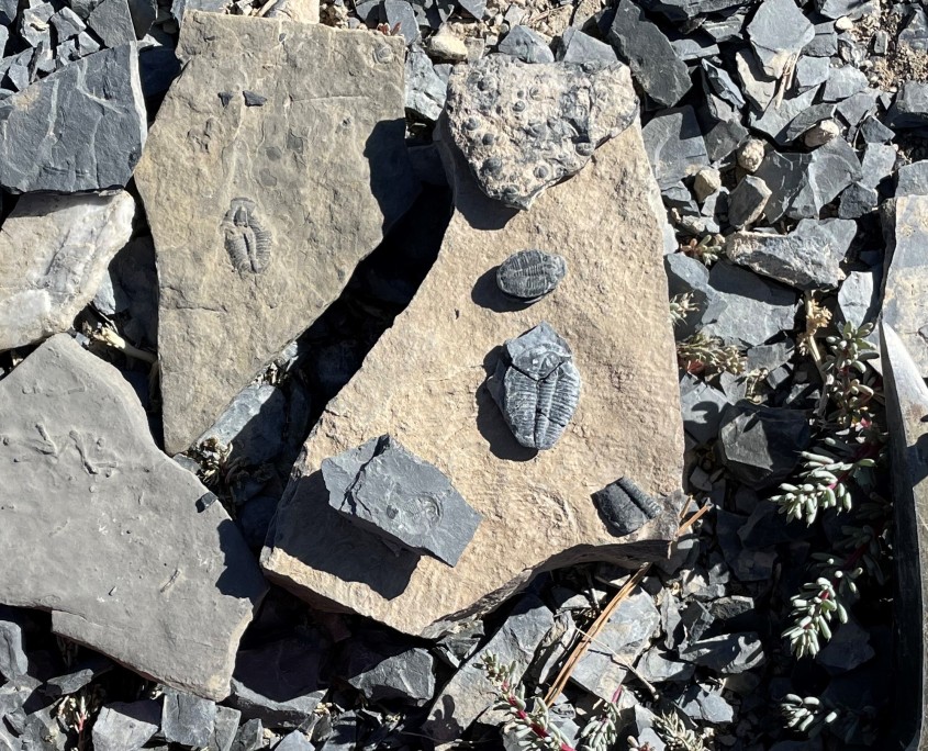 Rock, Mineral, and Fossil Collecting Rules - Utah Geological Survey