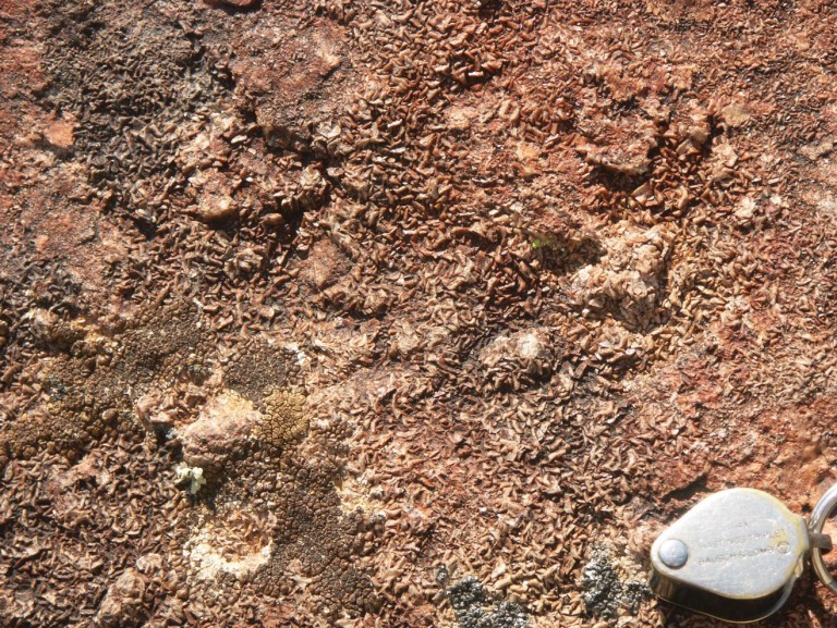 The Development of Field Spectroscopy for Minerals Exploration: Utah ...