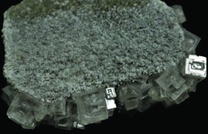 An oolitic beach rock, three inches across, composed of calcium ...