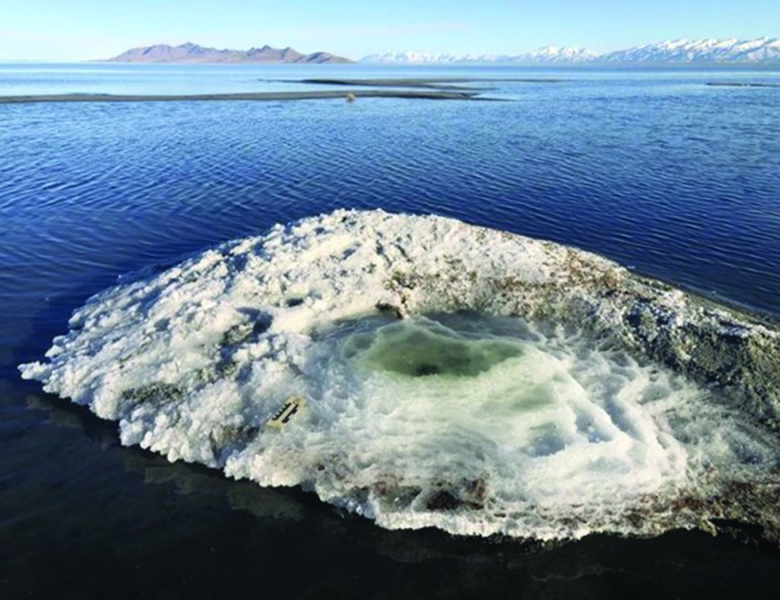 A mirabilite mound on the south shore of Great Salt Lake grows above ...