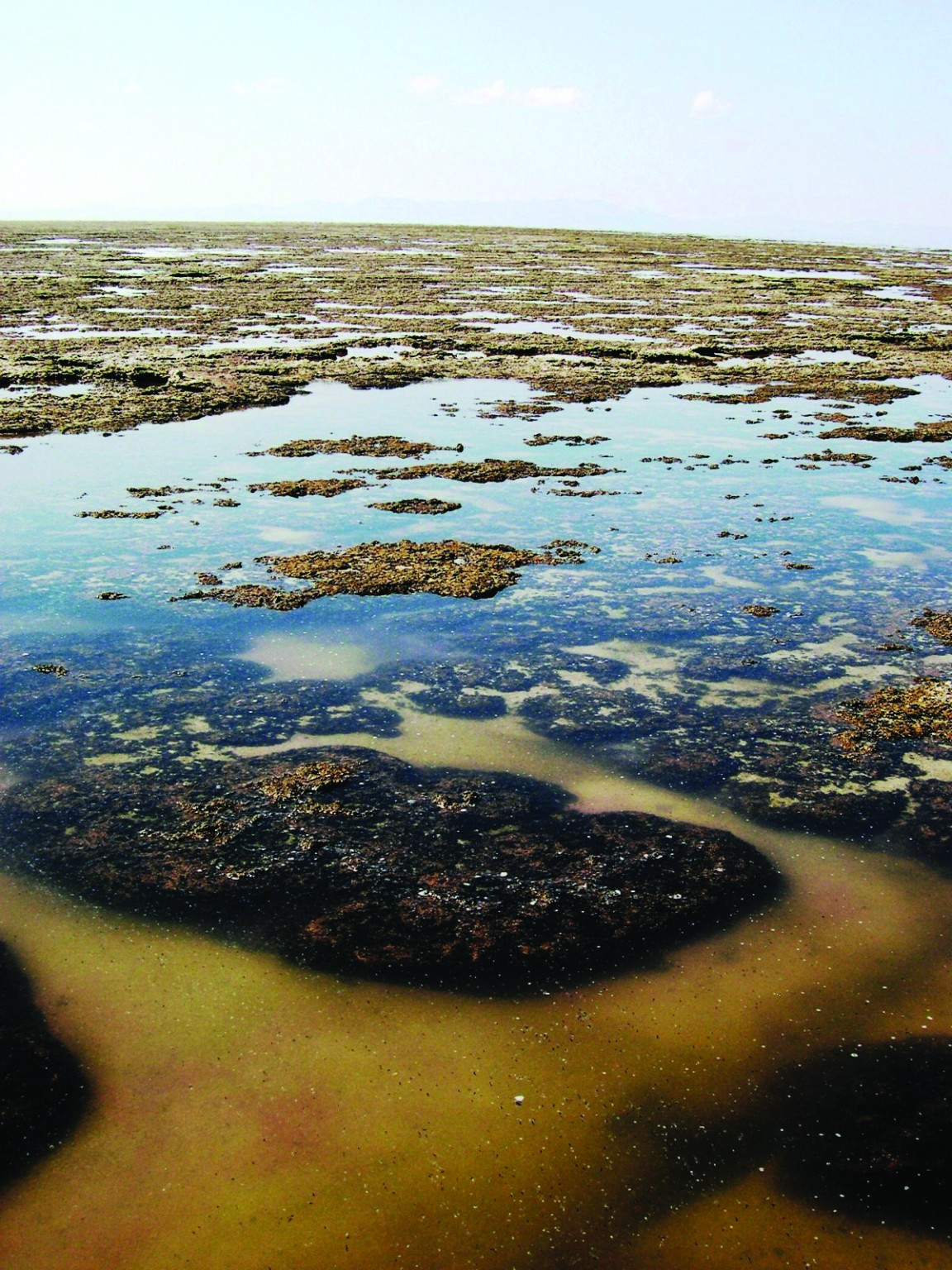 Bioherms in Great Salt Lake. Photo courtesy of the Utah Division of ...