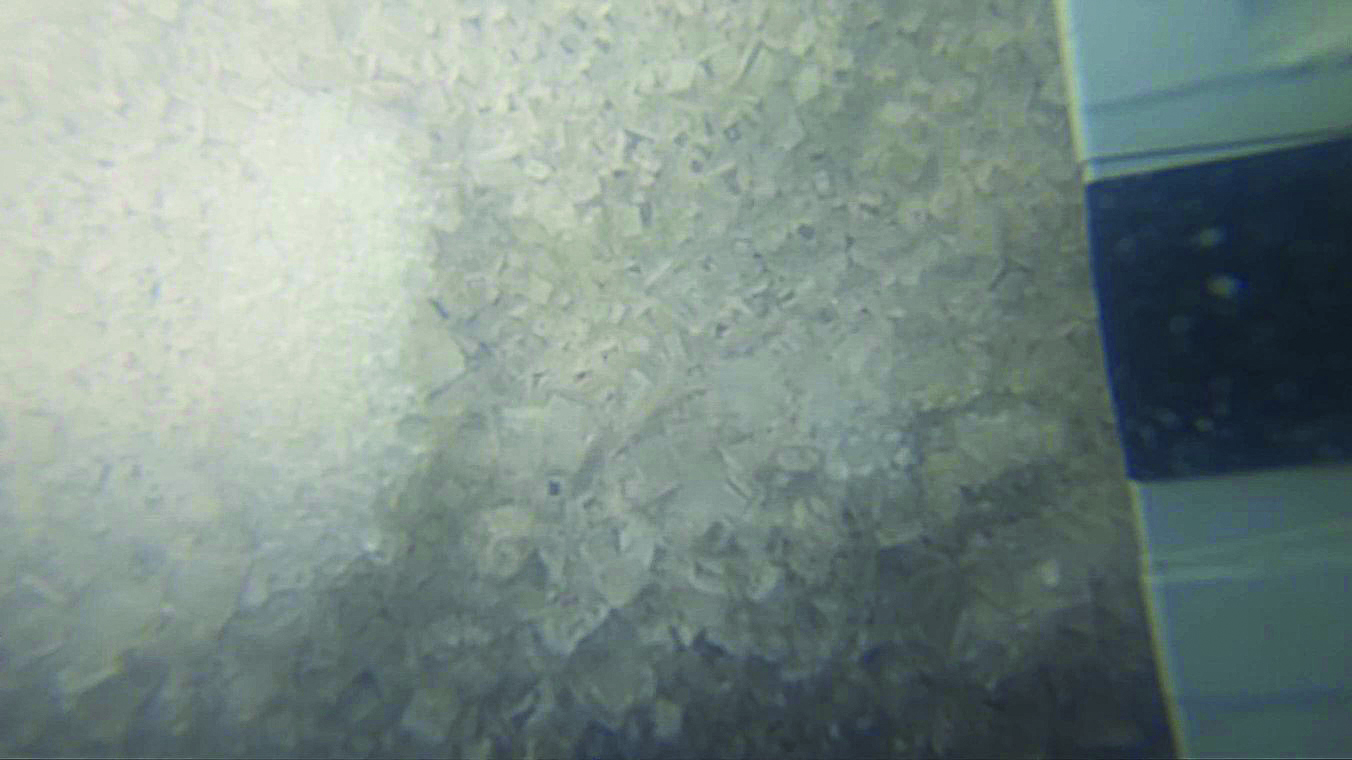 The salt crust on the floor of the north arm at water depths of about ...