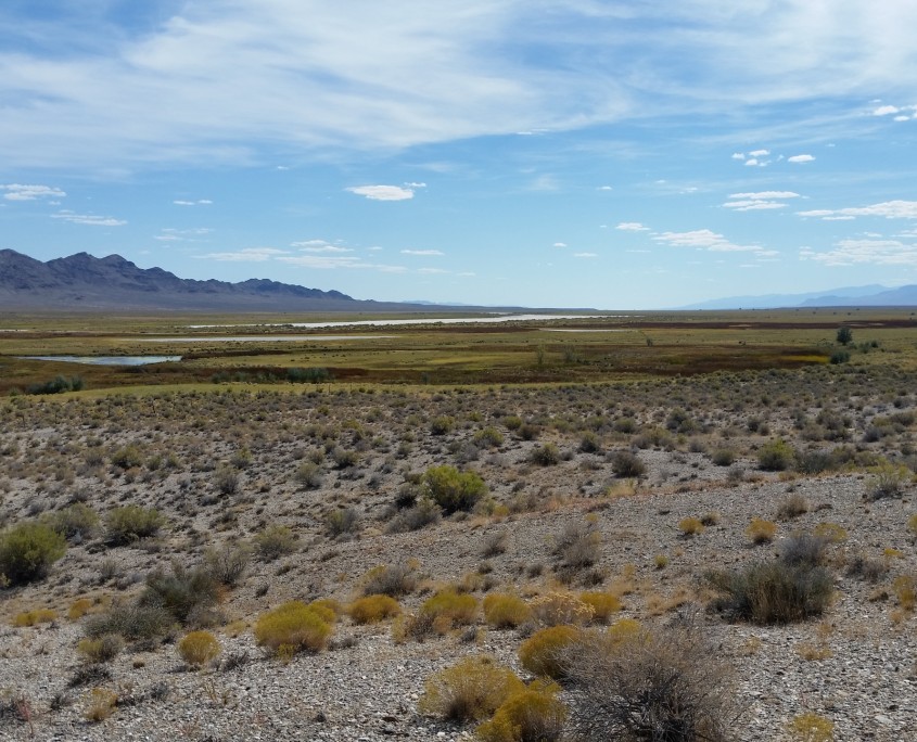 Wetlands in Utah - Utah Geological Survey