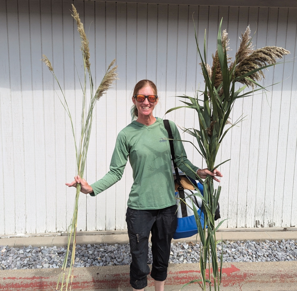 UGS Wetlands Program Manager and wetlands ecologist Becka Downard holds ...