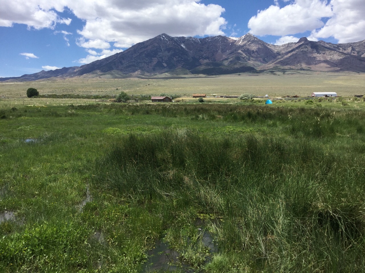 Pilot Range - Utah Geological Survey