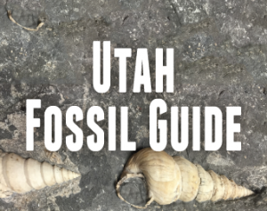 Visitor Information Guide to Fossils in Utah interactive map button ...