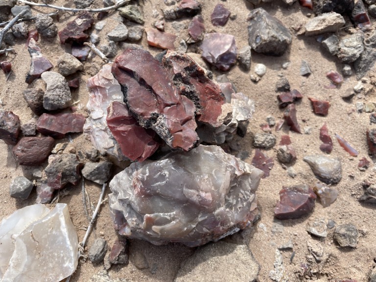 Agate samples from Moab. Photographer: Marshall Robinson 2022 - Utah ...