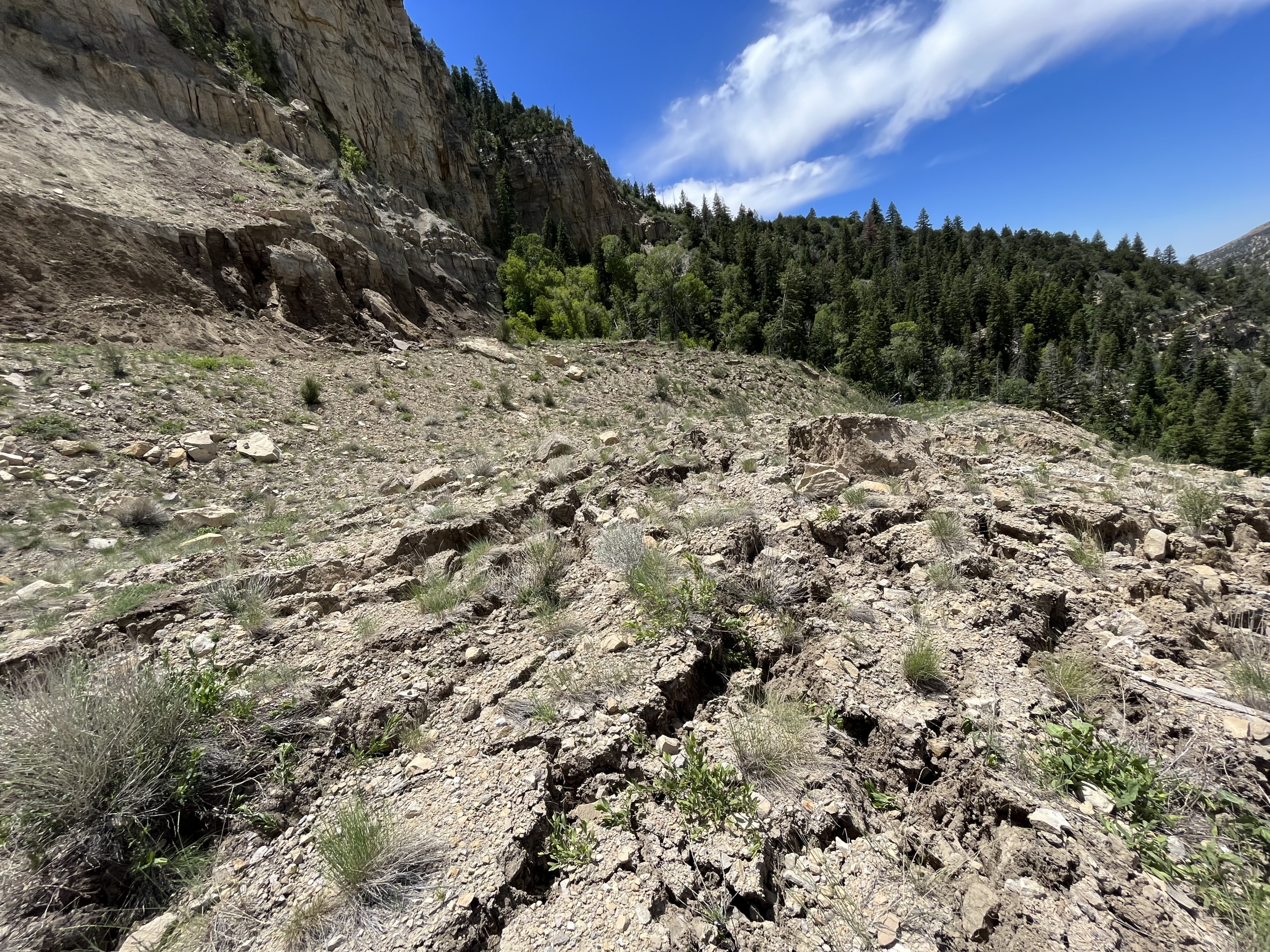 Landslide features from the June 21, 2023 landslide on the Cedar Canyon ...