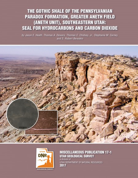 The Gothic Shale of the Pennsylvanian Paradox Formation, Greater Aneth ...