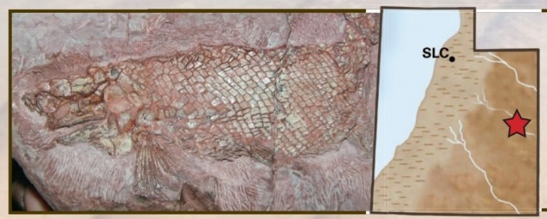 Dinosaurs & Fossils - Utah Geological Survey