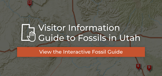 Dinosaurs & Fossils - Utah Geological Survey