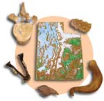 ice-age-kit - Utah Geological Survey