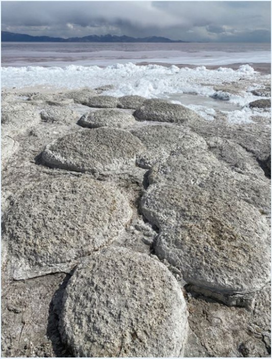 View to the east of remnant microbialites and foam along the east shore ...
