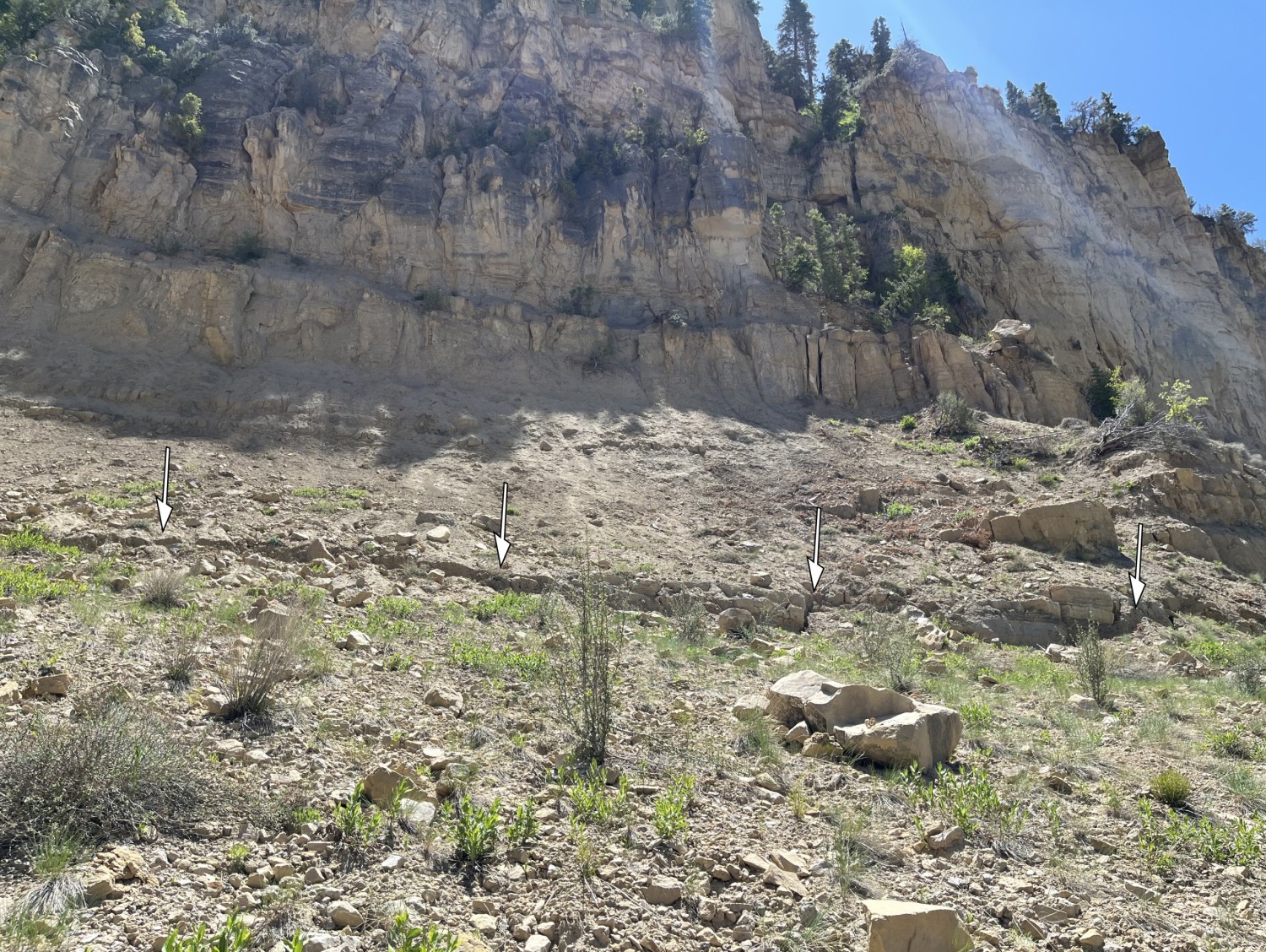 Observed movement on the Cedar Canyon MP8 landslide complex before the ...