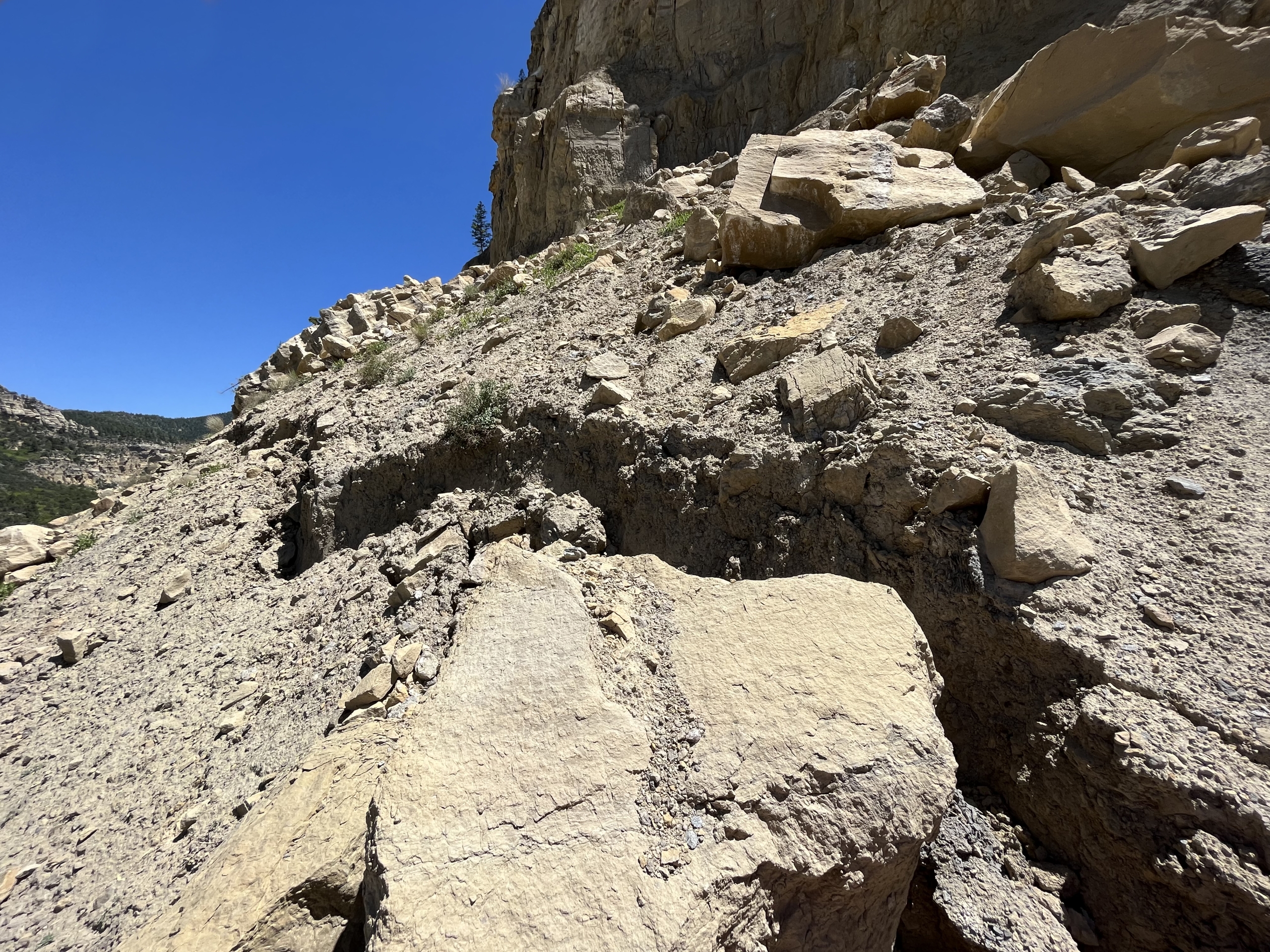 New landslide scarp from 2023 movement on the Cedar Canyon MP8 ...