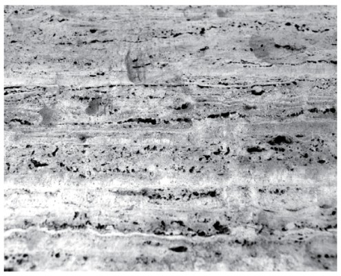 This porous and banded travertine, a compact variety of limestone, is ...