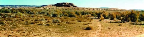 soilsite - Utah Geological Survey