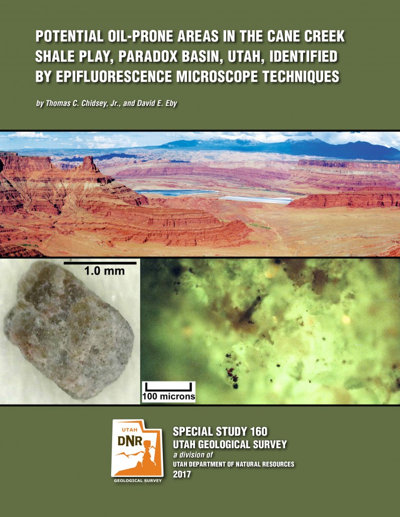 Potential Oil-Prone Areas in the Cane Creek Shale Play, Paradox Basin ...
