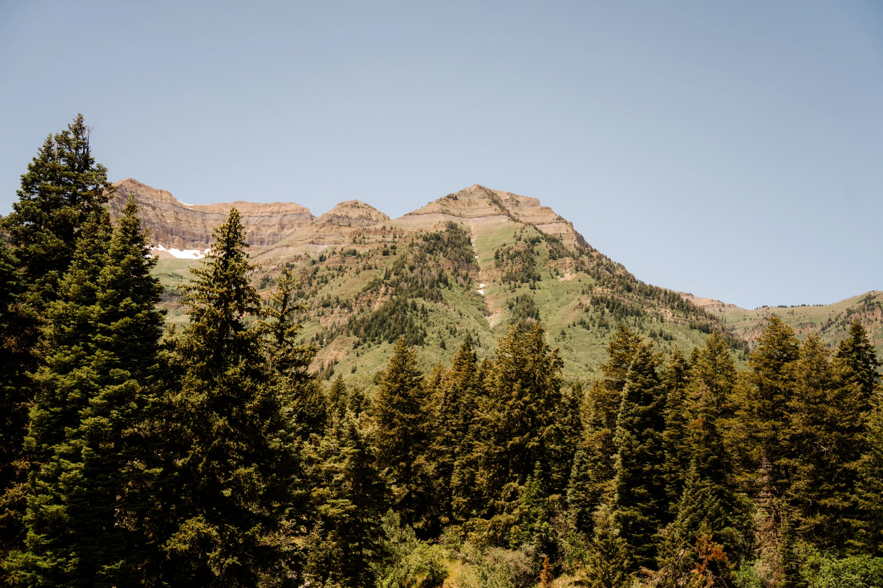 Scenery around Sundance Resort. Photo: Sundance Resort - Utah ...