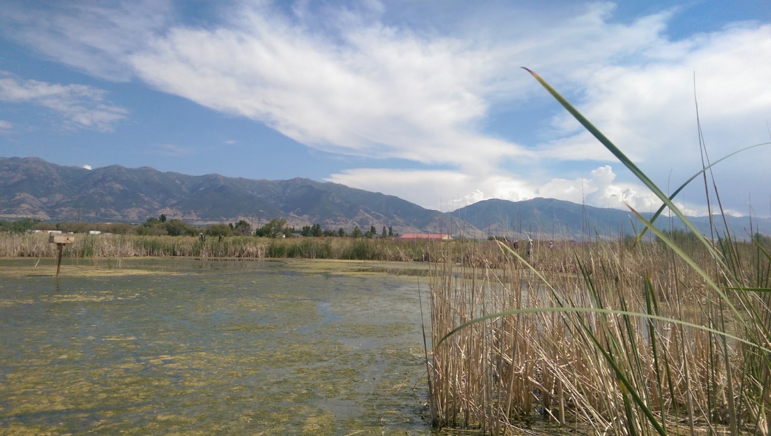 Great Salt lake Shorelands Preserve - Utah Geological Survey