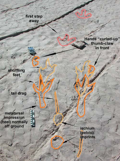 tracks_lg - Utah Geological Survey